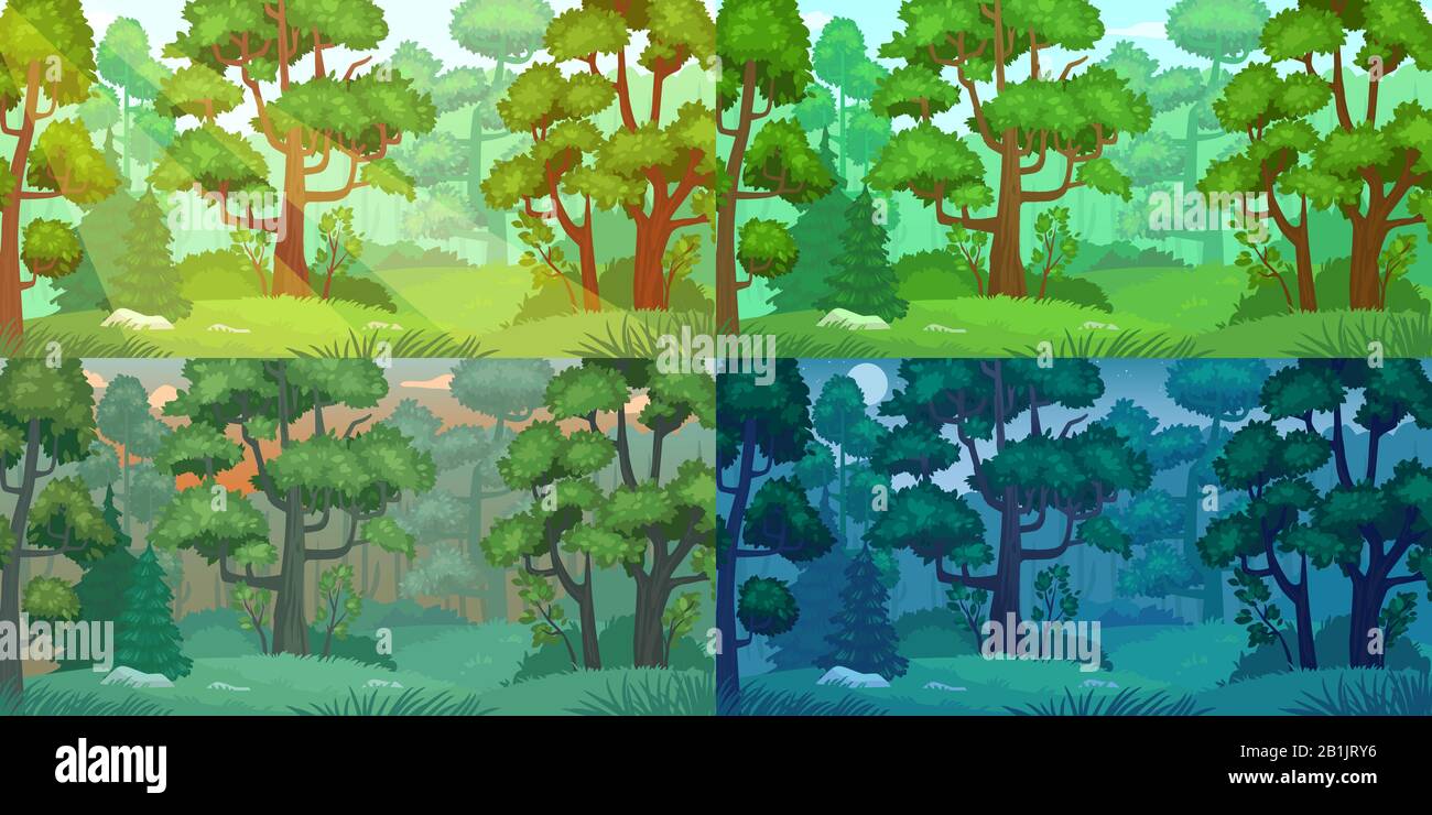 Daytimes forest landscape. Forest trees, sun shining woods and woodland ...