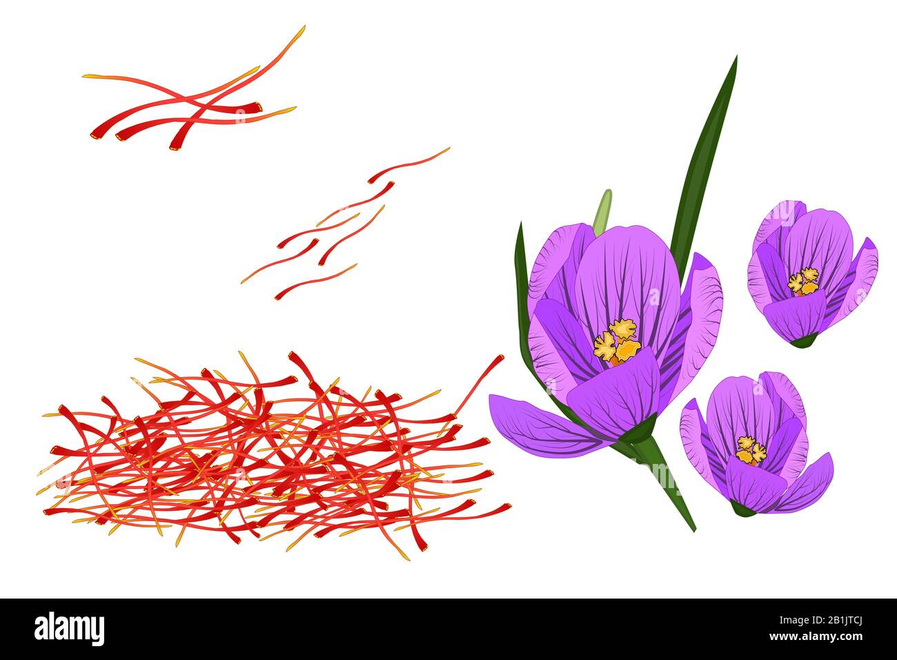 Safran iran Stock Vector Images - Alamy