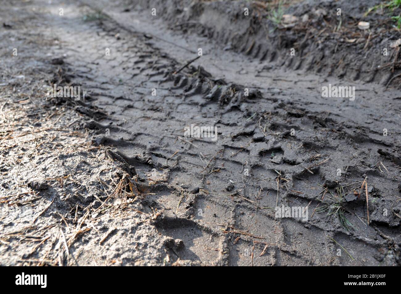 Traces of the tread of a truck tire on the ground, dirt. Track. Off ...