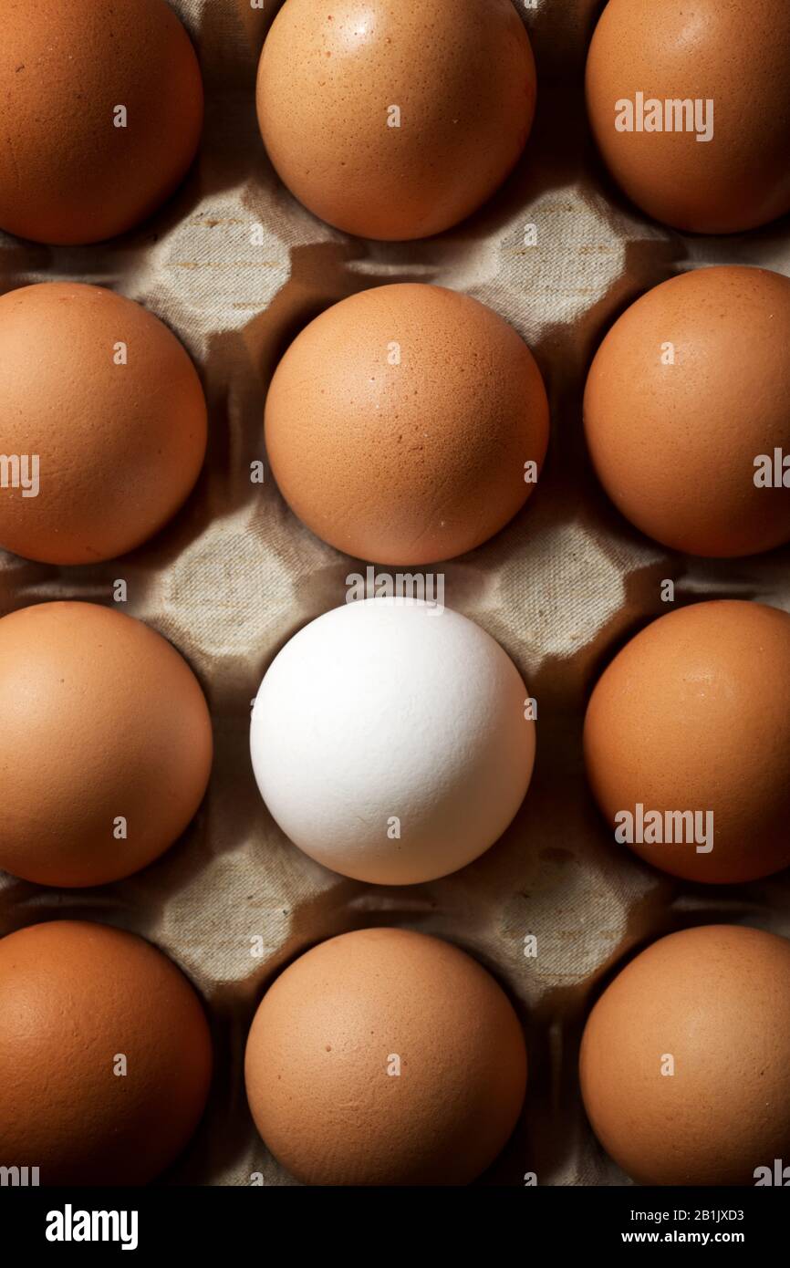 Chicken eggs in a cardboard box Stock Photo - Alamy