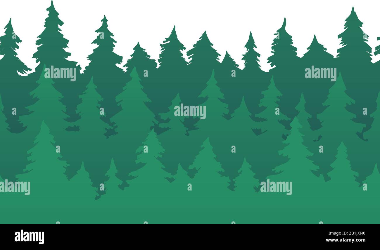 Forest fir trees seamless pattern. Pine silhouette, nature forests and ...