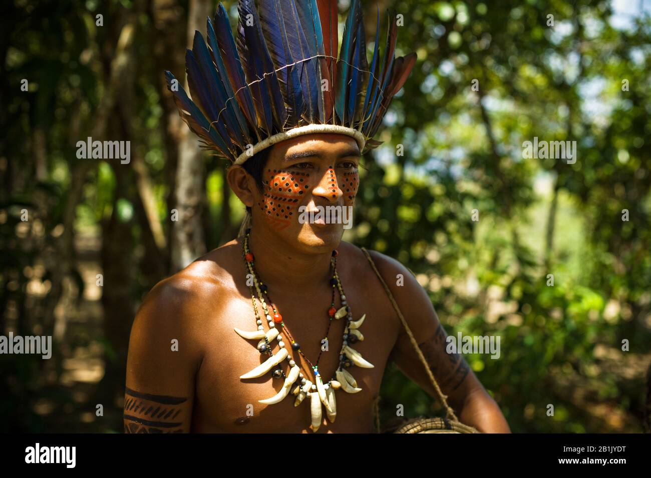Forest Tribes Brazil High Resolution Stock Photography and Images - Alamy