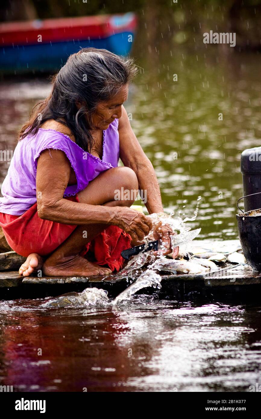 Woman Cleaning Fish High Resolution Stock Photography and Images - Alamy