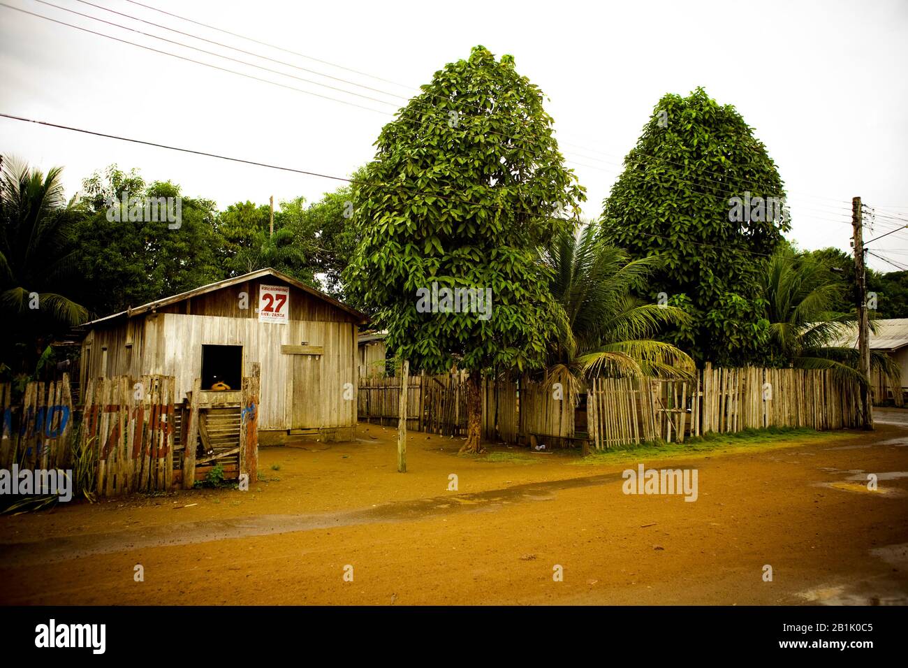 House, Street, Novo Airão, Amazonas, Brazil Stock Photo - Alamy