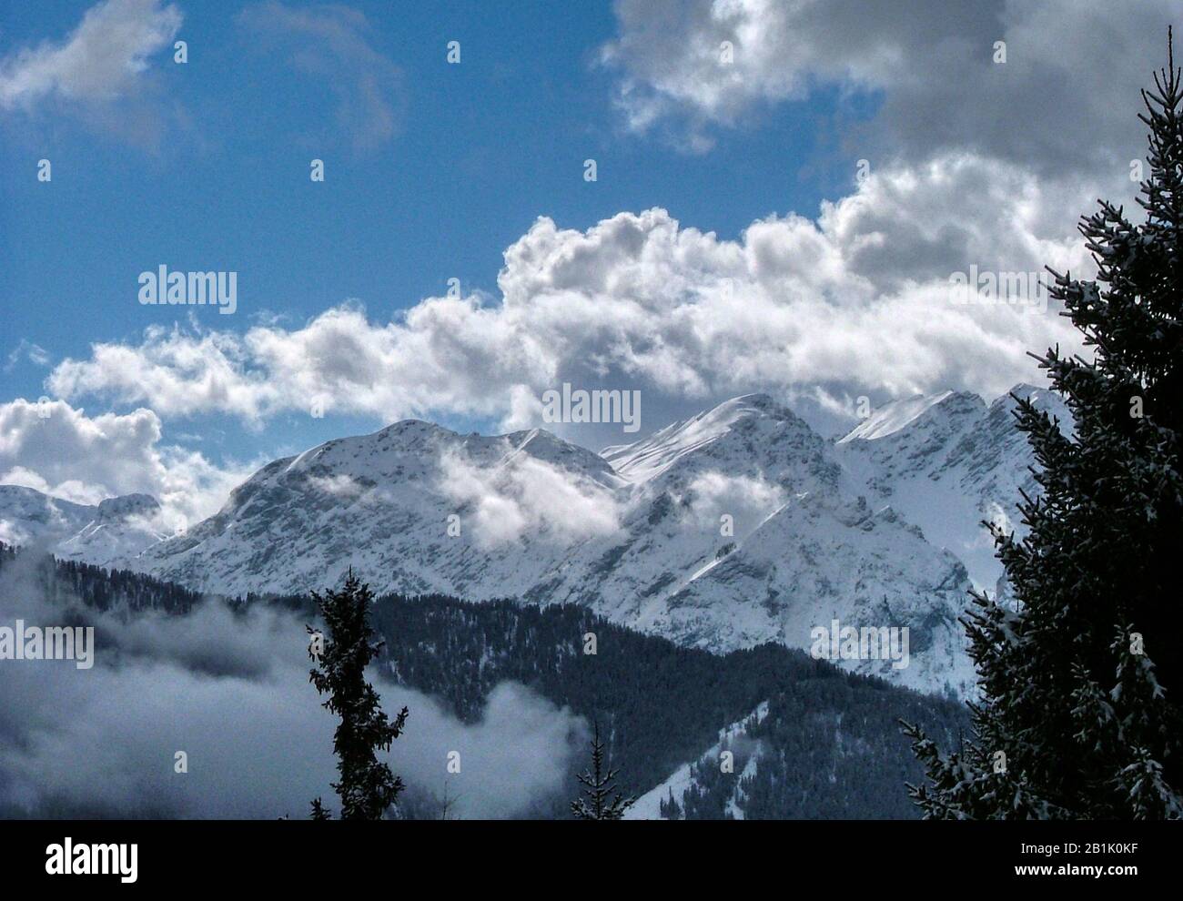 Cloudy day on the peaks and snowy woods of the Pusteria valley Stock ...