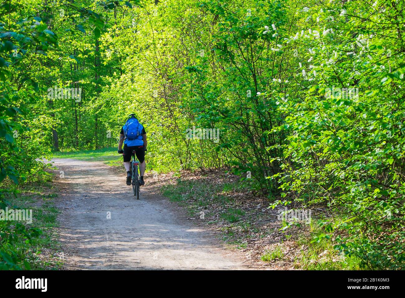 Man ride cycle in park hi-res stock photography and images - Alamy