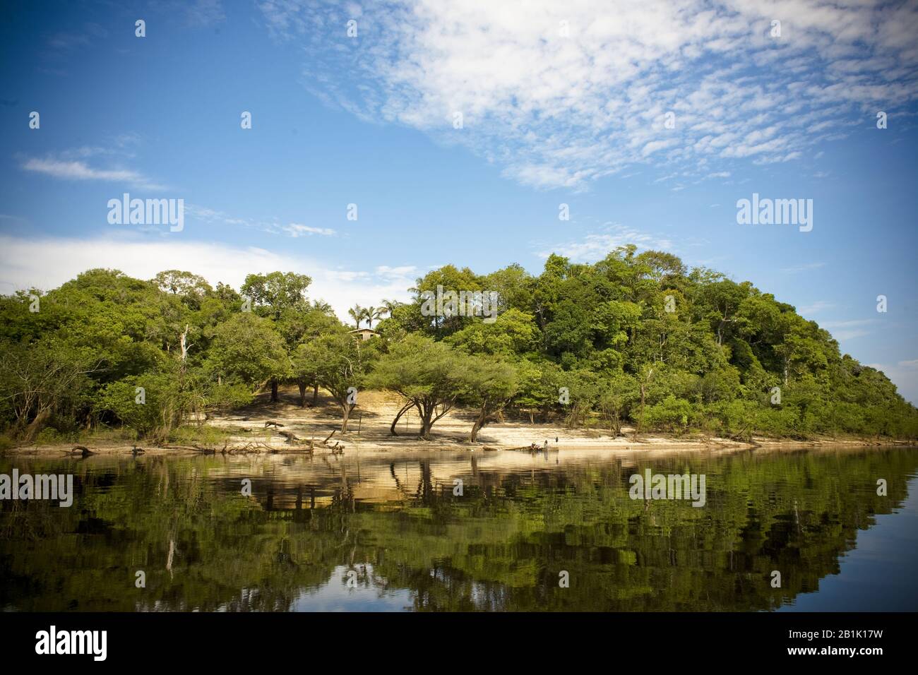 Landscape, Negro River, Novo Airão, Amazonas, Brazil Stock Photo - Alamy