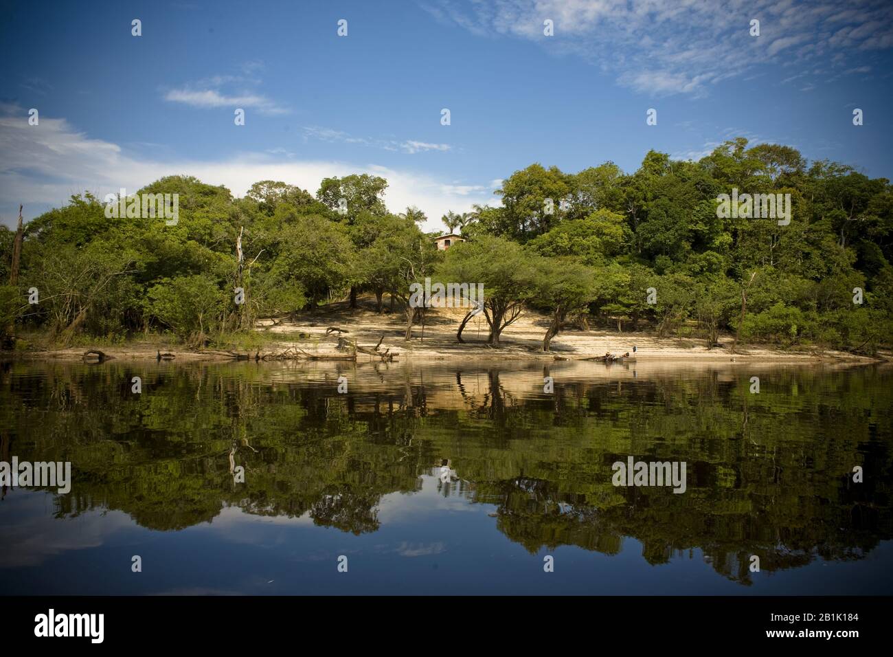 Landscape, Negro River, Novo Airão, Amazonas, Brazil Stock Photo - Alamy