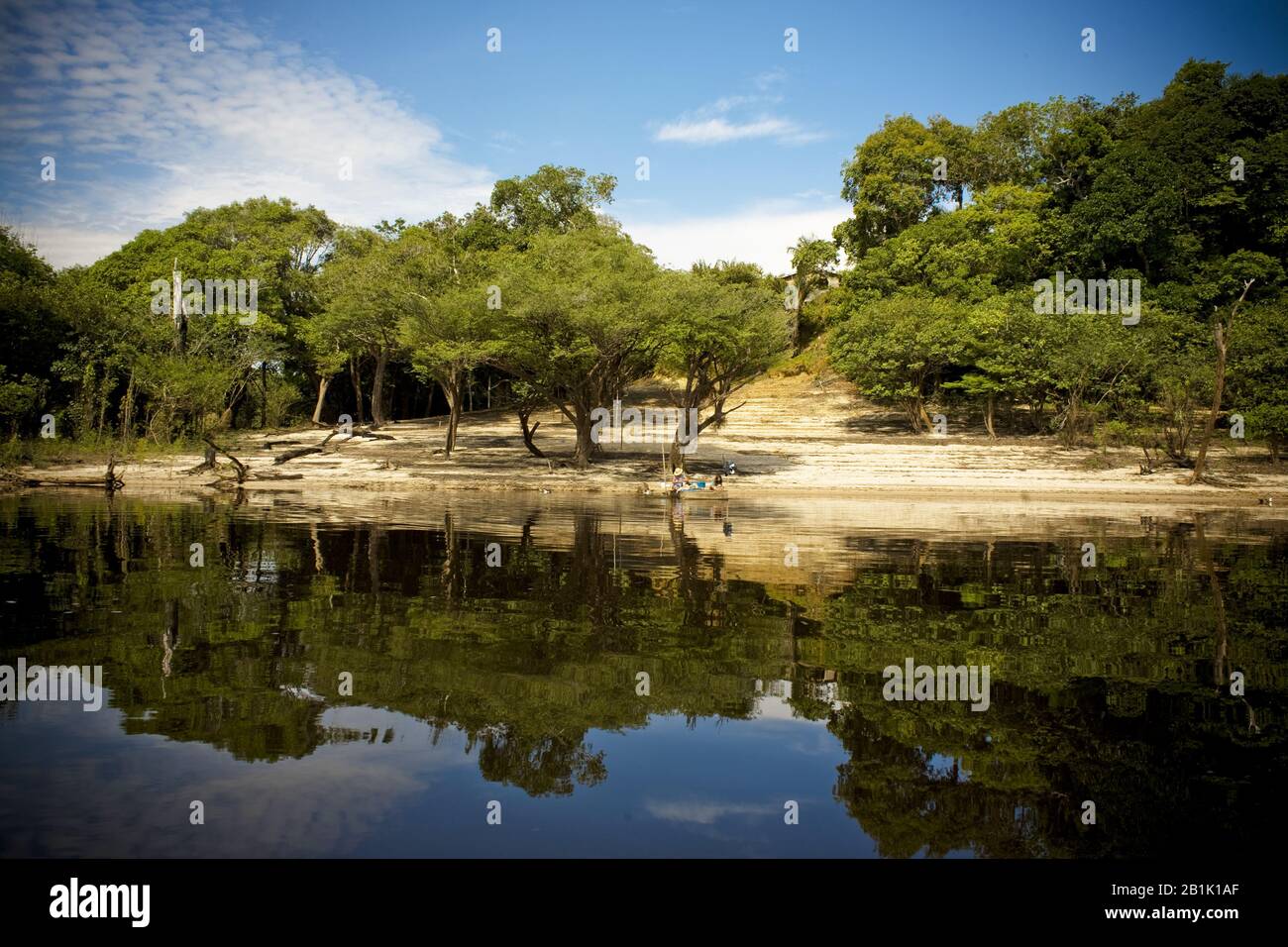 Landscape, Negro River, Novo Airão, Amazonas, Brazil Stock Photo - Alamy