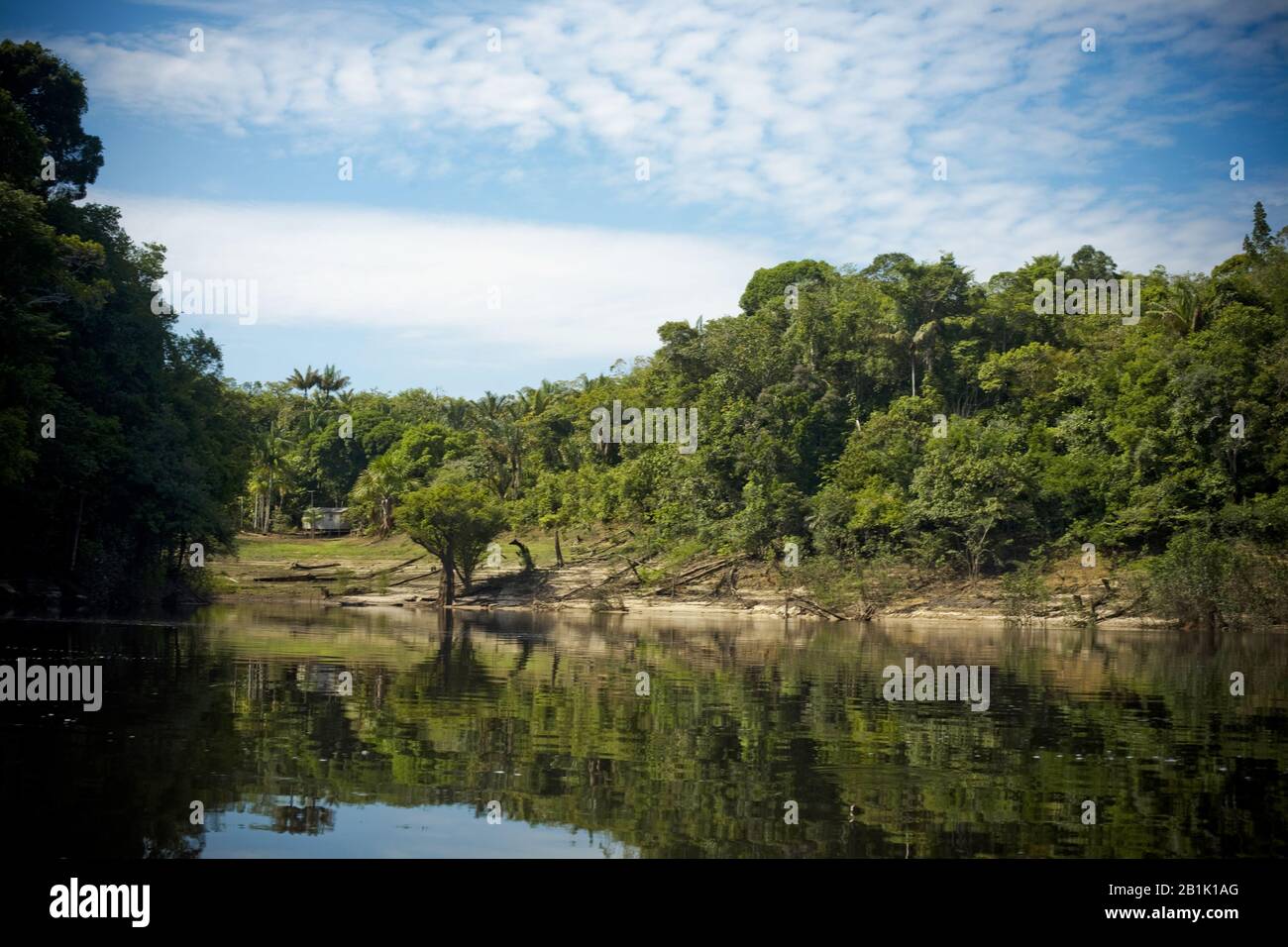 Landscape, Negro River, Novo Airão, Amazonas, Brazil Stock Photo - Alamy