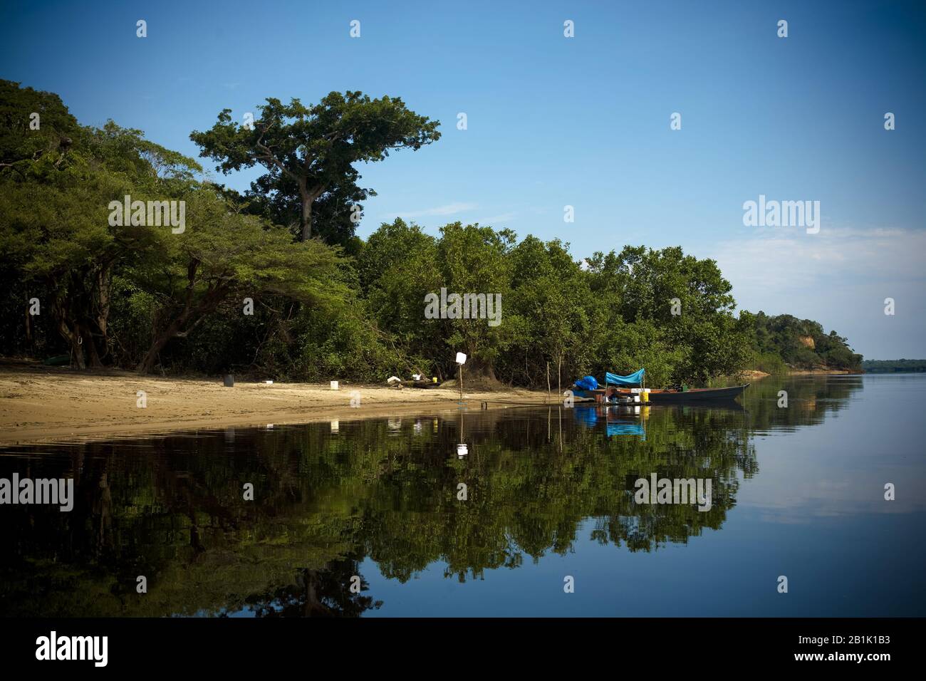 Landscape, Negro River, Novo Airão, Amazonas, Brazil Stock Photo - Alamy