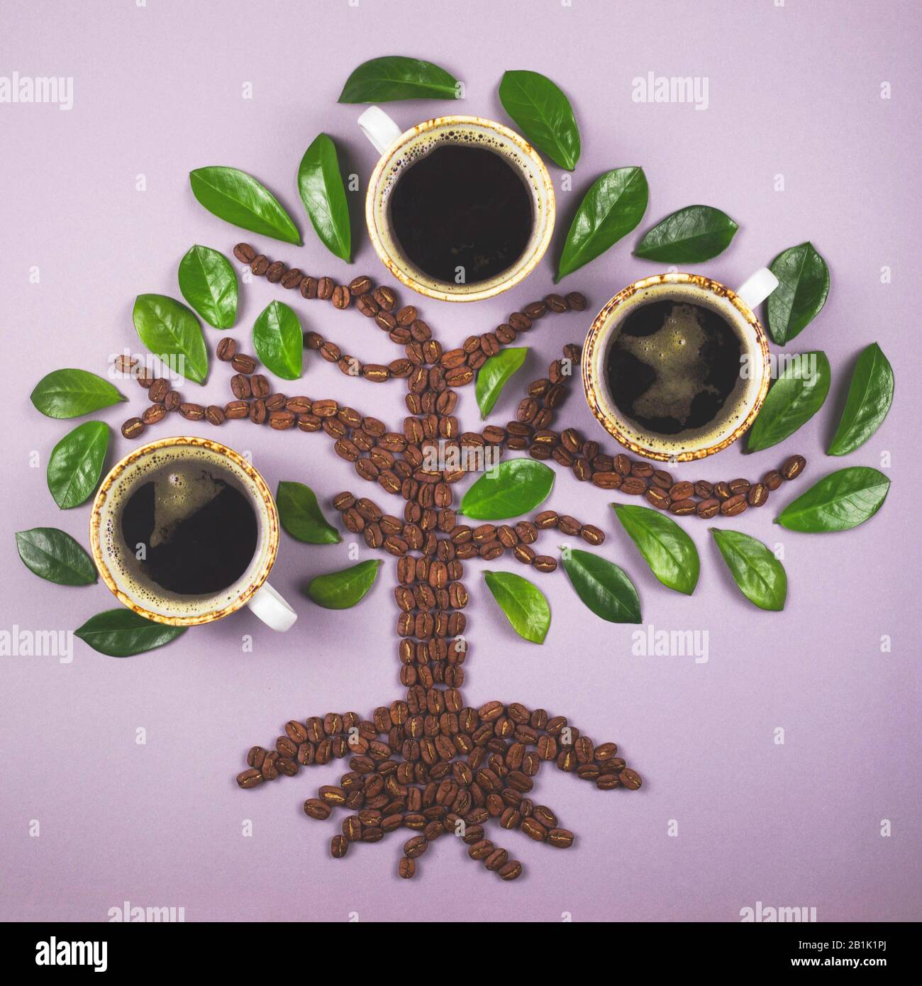 A tree-shaped layout made from coffee beans with cups of coffee grown ...