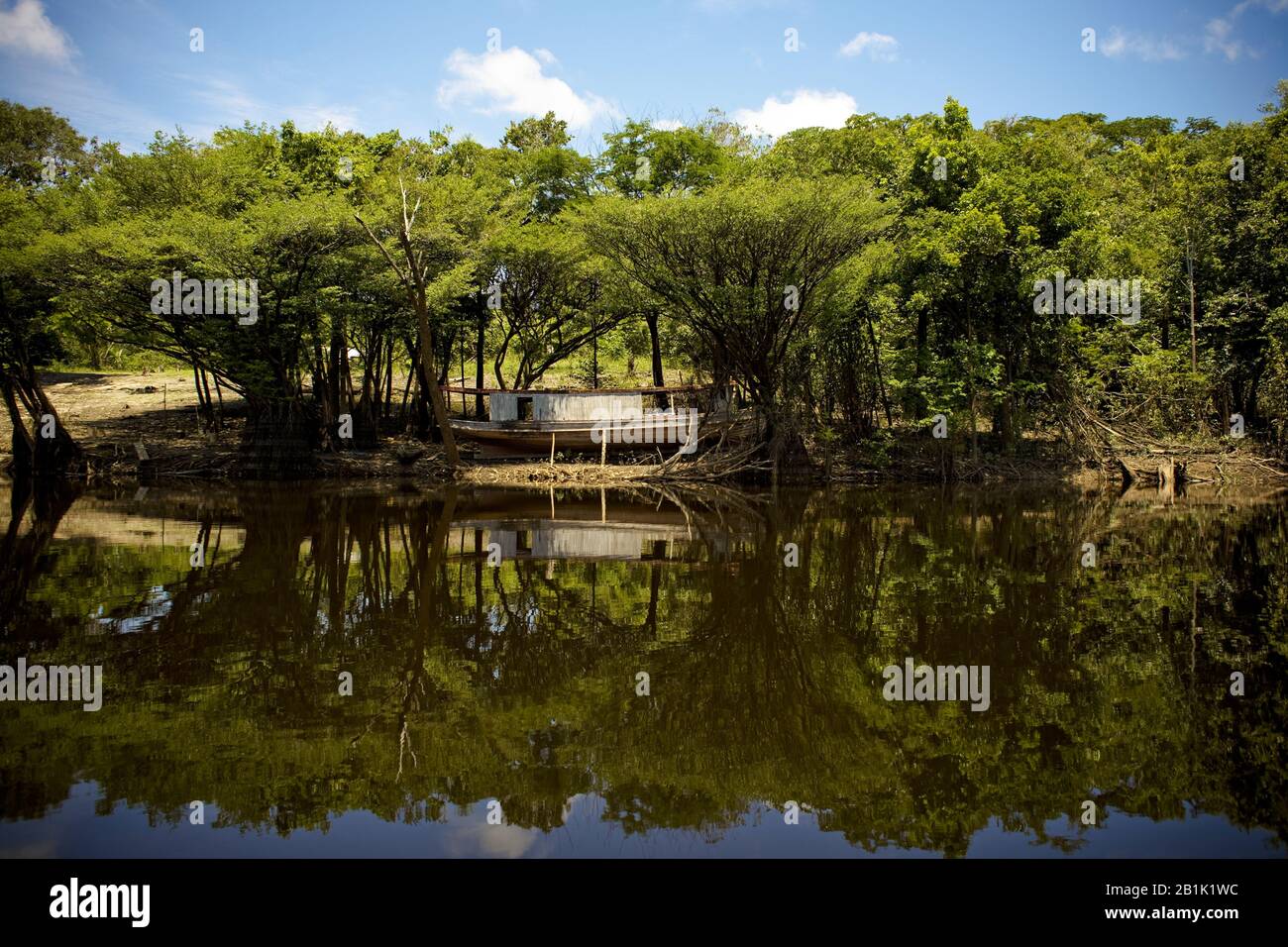 Landscape, Nature, Negro River, Novo Airão, Amazonas, Brazil Stock ...