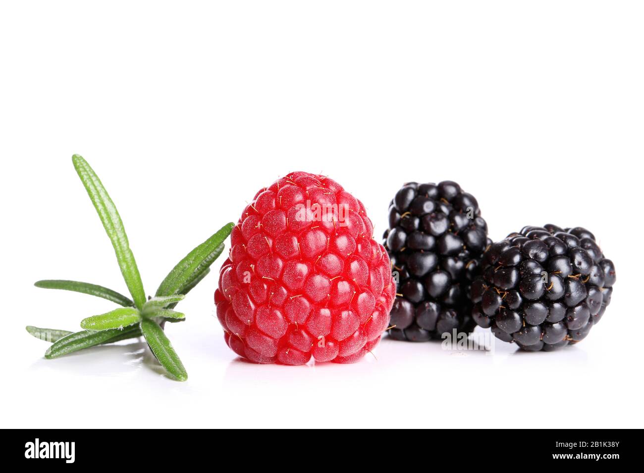 red berries on white background Stock Photo - Alamy