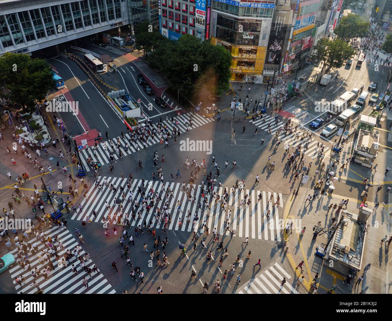 Shibuya, Japan - 23 9 19: People Crossing Shibuya Crossing in the ...