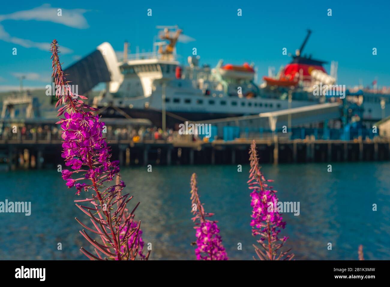 Focus on Purple Flowers with the Passenger Ferry Terminal in the ...