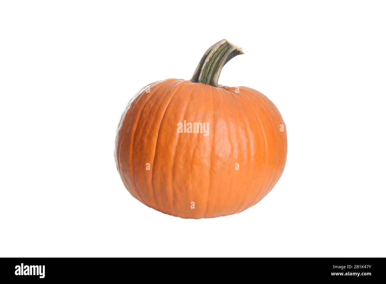 closeup isolated short fat pumpkin Stock Photo - Alamy