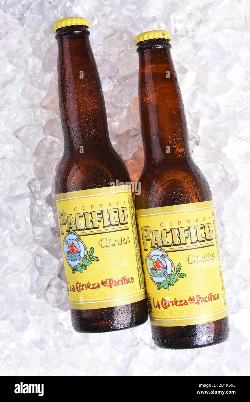 Pacifico Beer