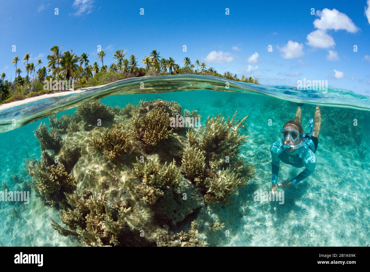 Snorkeling at French Polynesia, Apataki Atoll, Tuamotu Archipel, French ...
