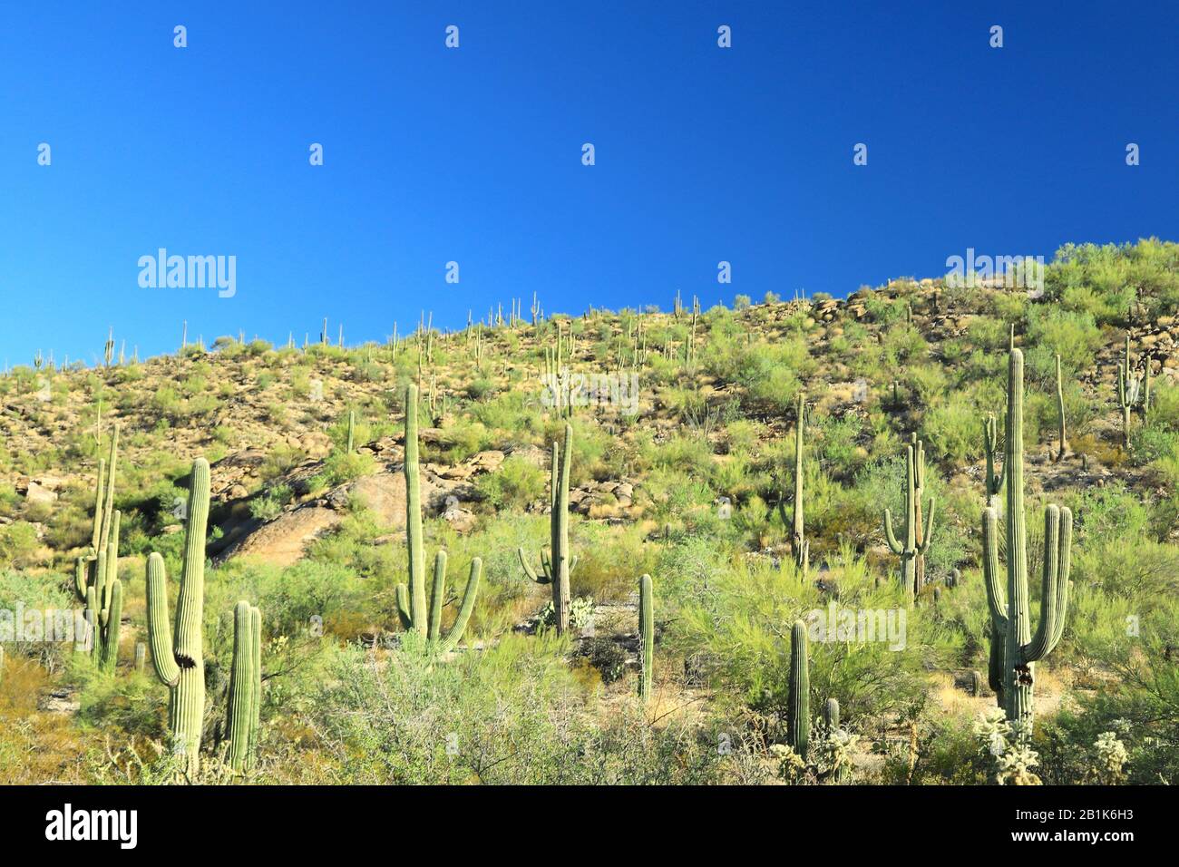 Arizona rural hi-res stock photography and images - Alamy