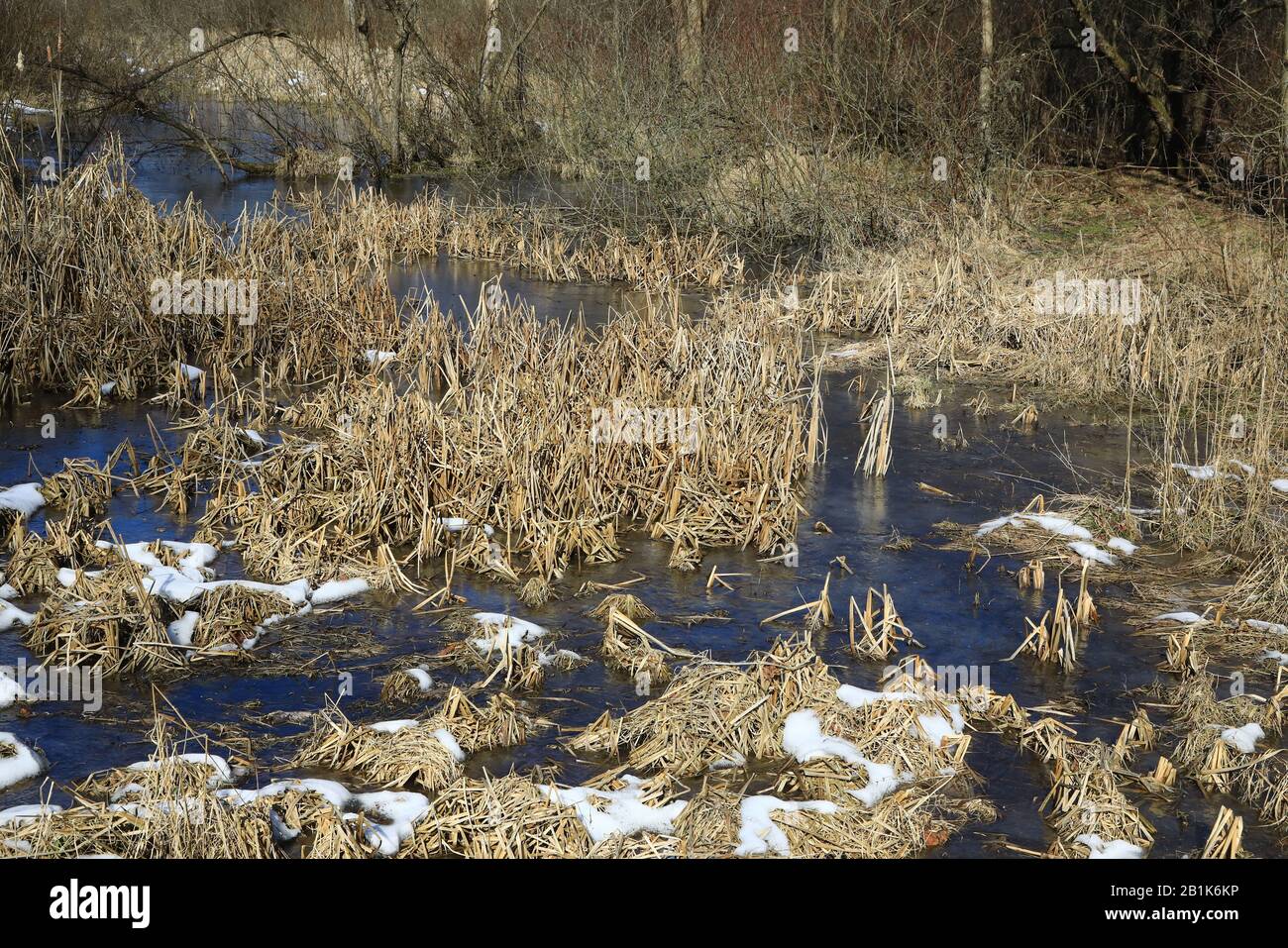 Frozen swamp hi-res stock photography and images - Alamy