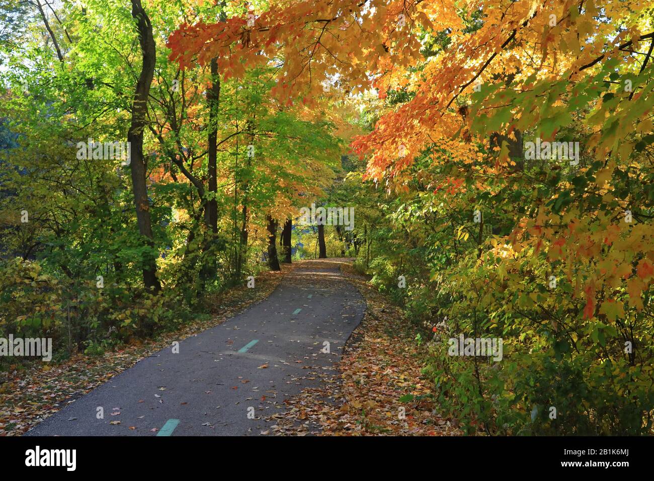 Nature trail in a autumn colored wilderness Stock Photo - Alamy