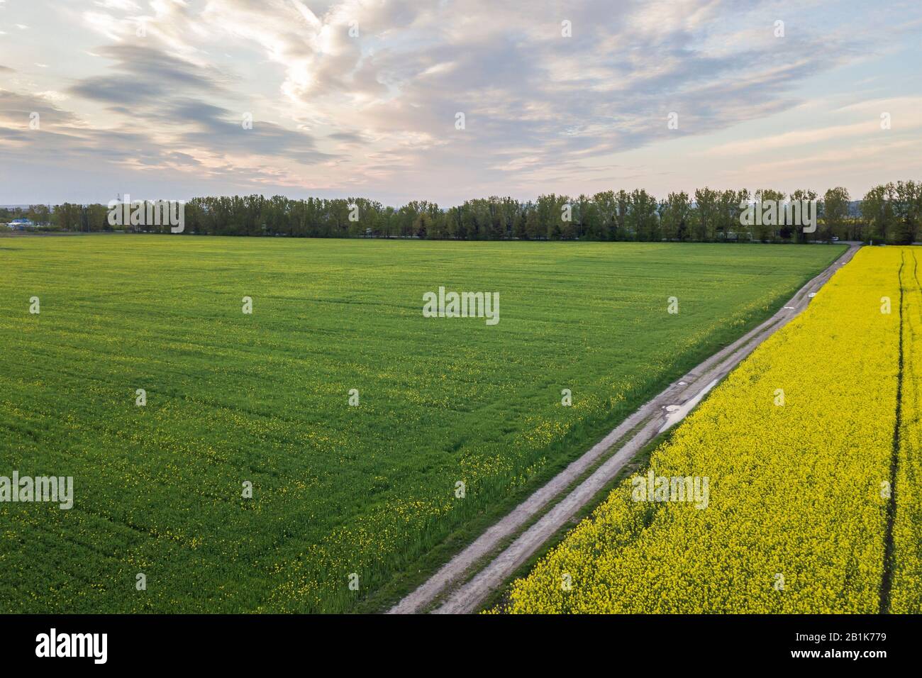 Aerial view of straight ground road with rain puddles in green fields ...