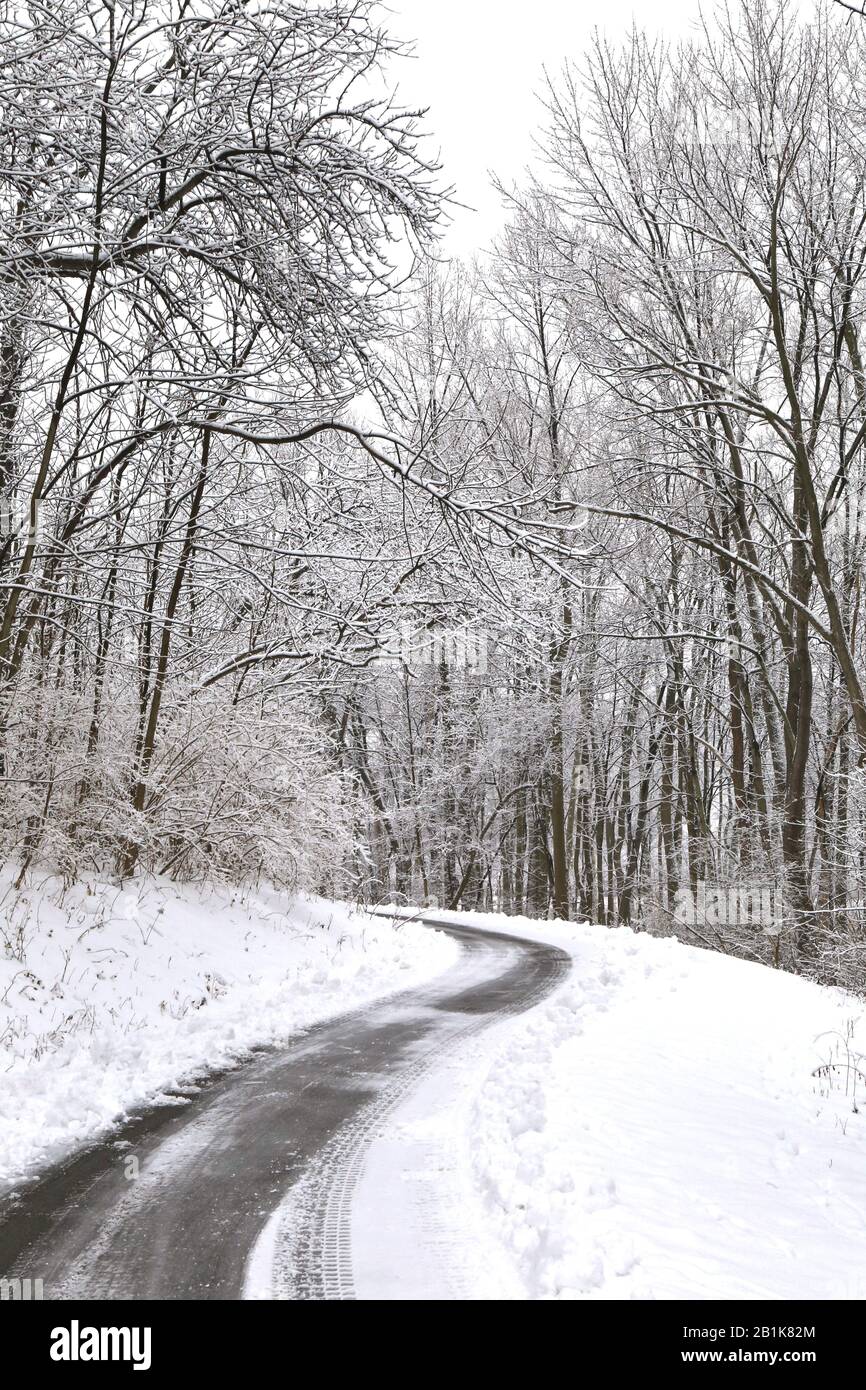 Pathway down the snow covered trail Stock Photo - Alamy