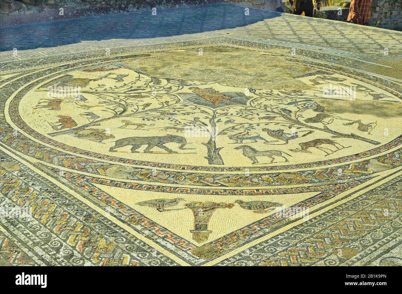 Morocco, Unesco world heritage site of ancient Roman settlement ...