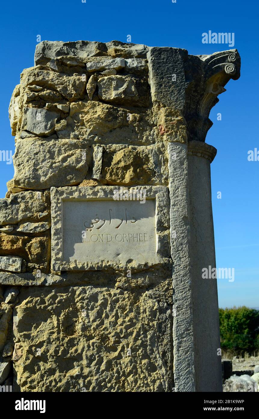 Walili hi-res stock photography and images - Alamy