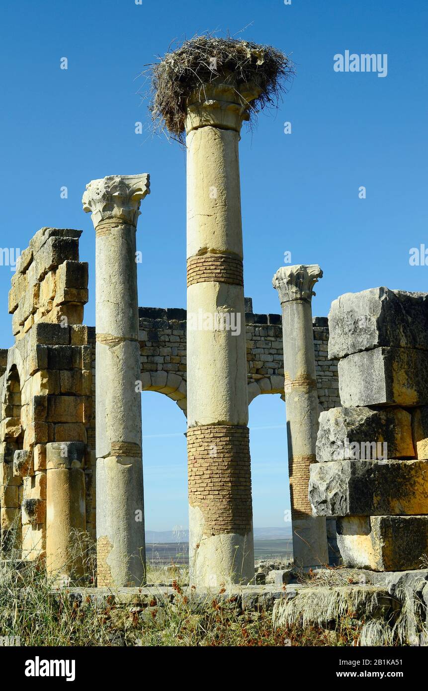 Morocco, Unesco world heritage site of ancient Roman settlement ...