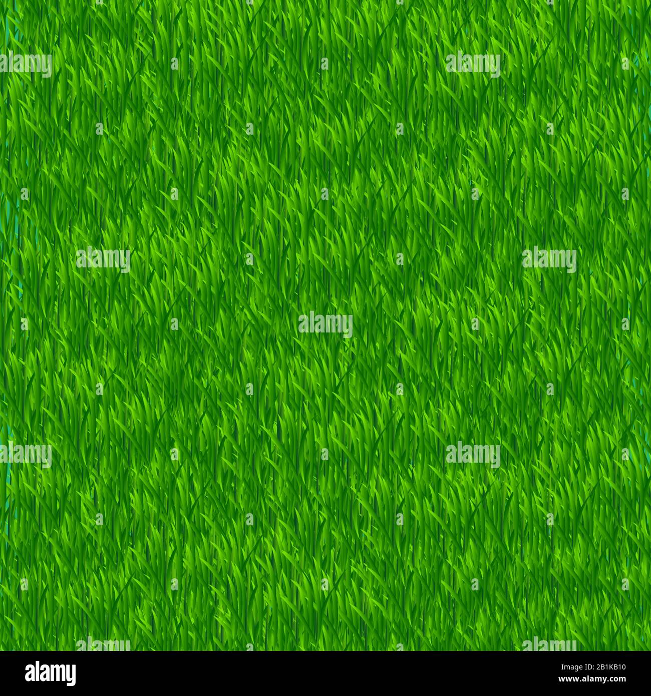 Green grass field. Grass Border. Spring Grass. Vector EPS 10 Stock ...
