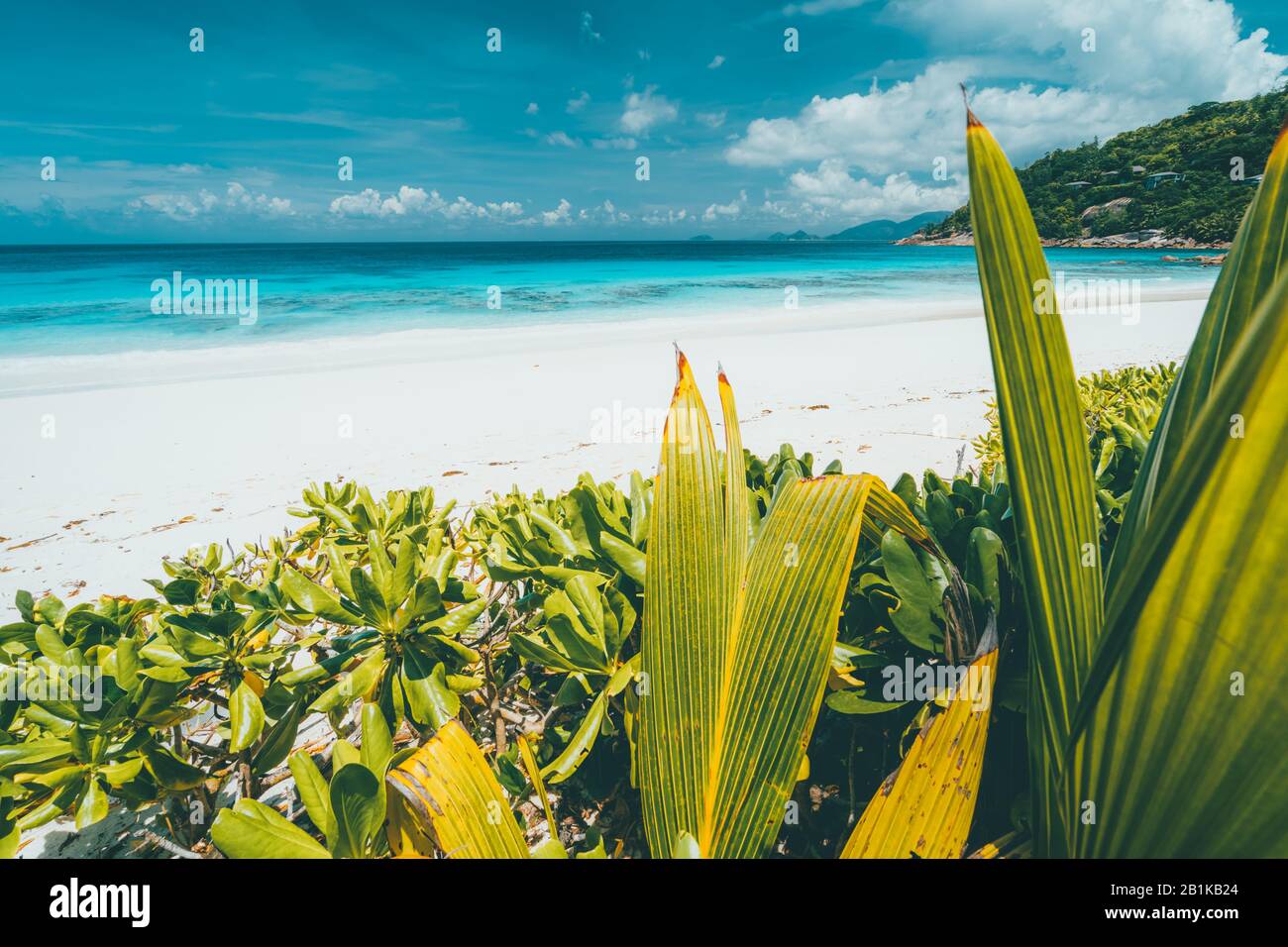 Beautiful anse intendance beach seychelles hi-res stock photography and ...