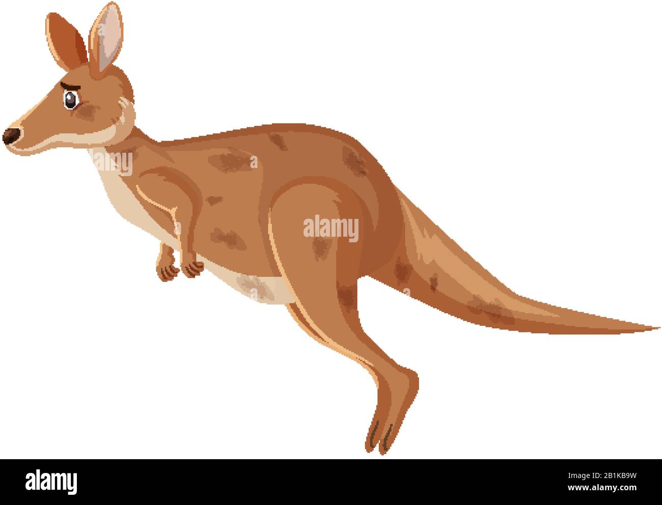 Sad kangaroo standing on white background illustration Stock Vector ...