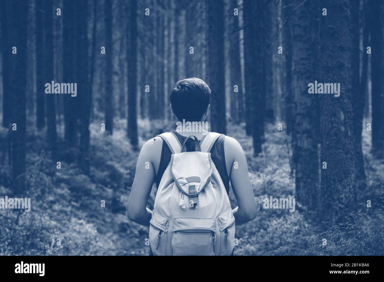 Closeup portrait of young hiker hiking, looking up at trees. Mountain ...