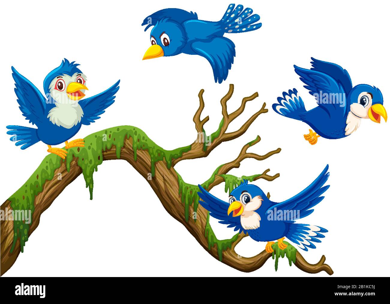 Domestic garden colour Stock Vector Images - Alamy