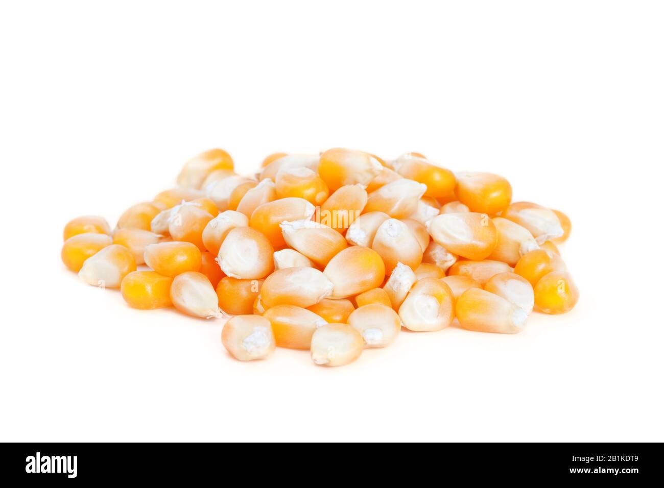 Pile dried corn isolated on white background Stock Photo - Alamy
