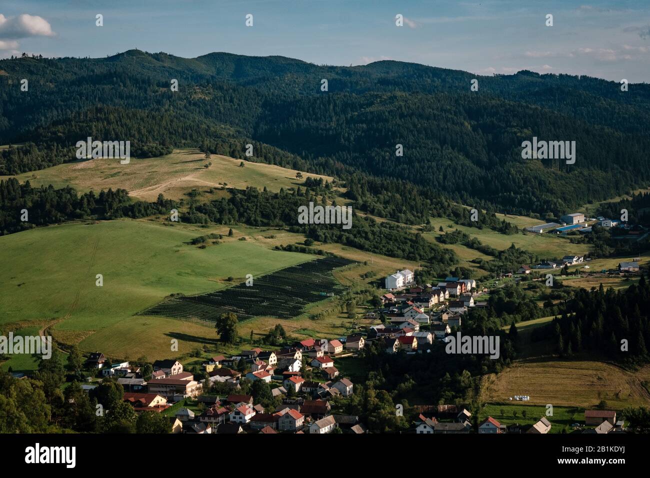 Summer mountain landscape in Slovakia. meadows with green grass ...