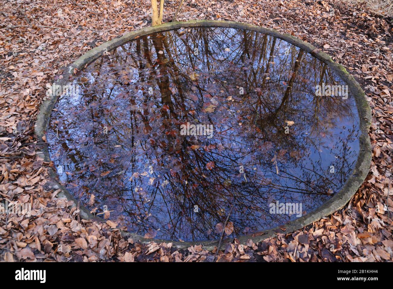 Man made pond hi-res stock photography and images - Alamy