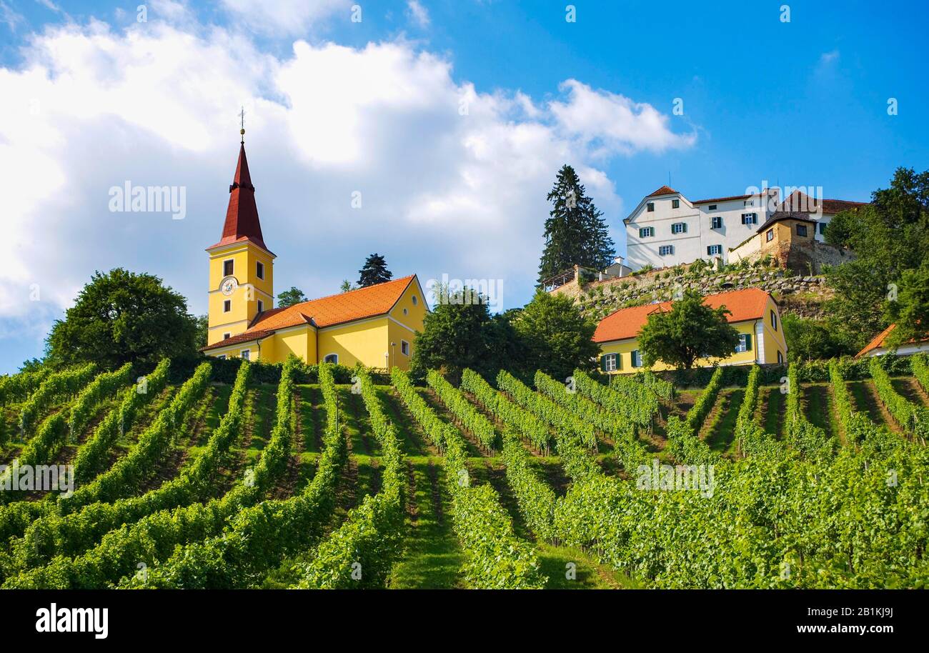 Vineyard with Kapfenstein Castle, Kapfenstein, South Styrian wine ...