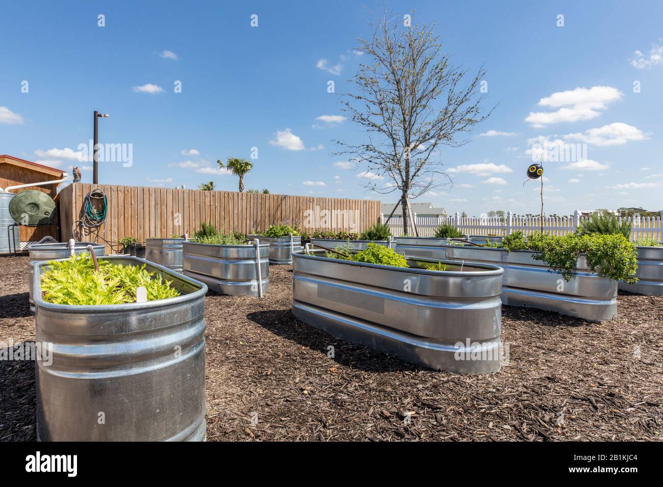 Organic herb and spice garden in Babcock Ranch, Florida, a self ...