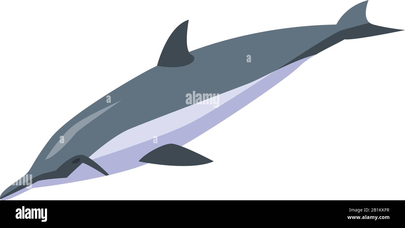Aquatic dolphin icon, isometric style Stock Vector Image & Art - Alamy