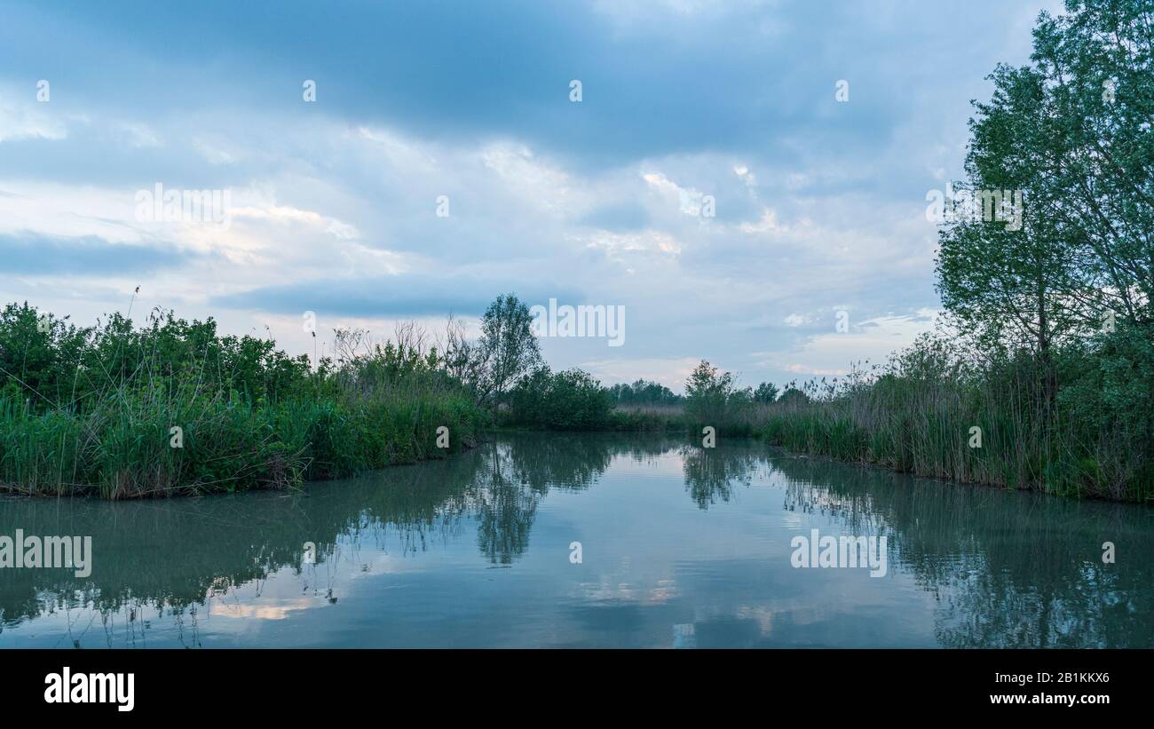 sunrise landscapes from the Mincio river, Mantua, Italy Stock Photo - Alamy