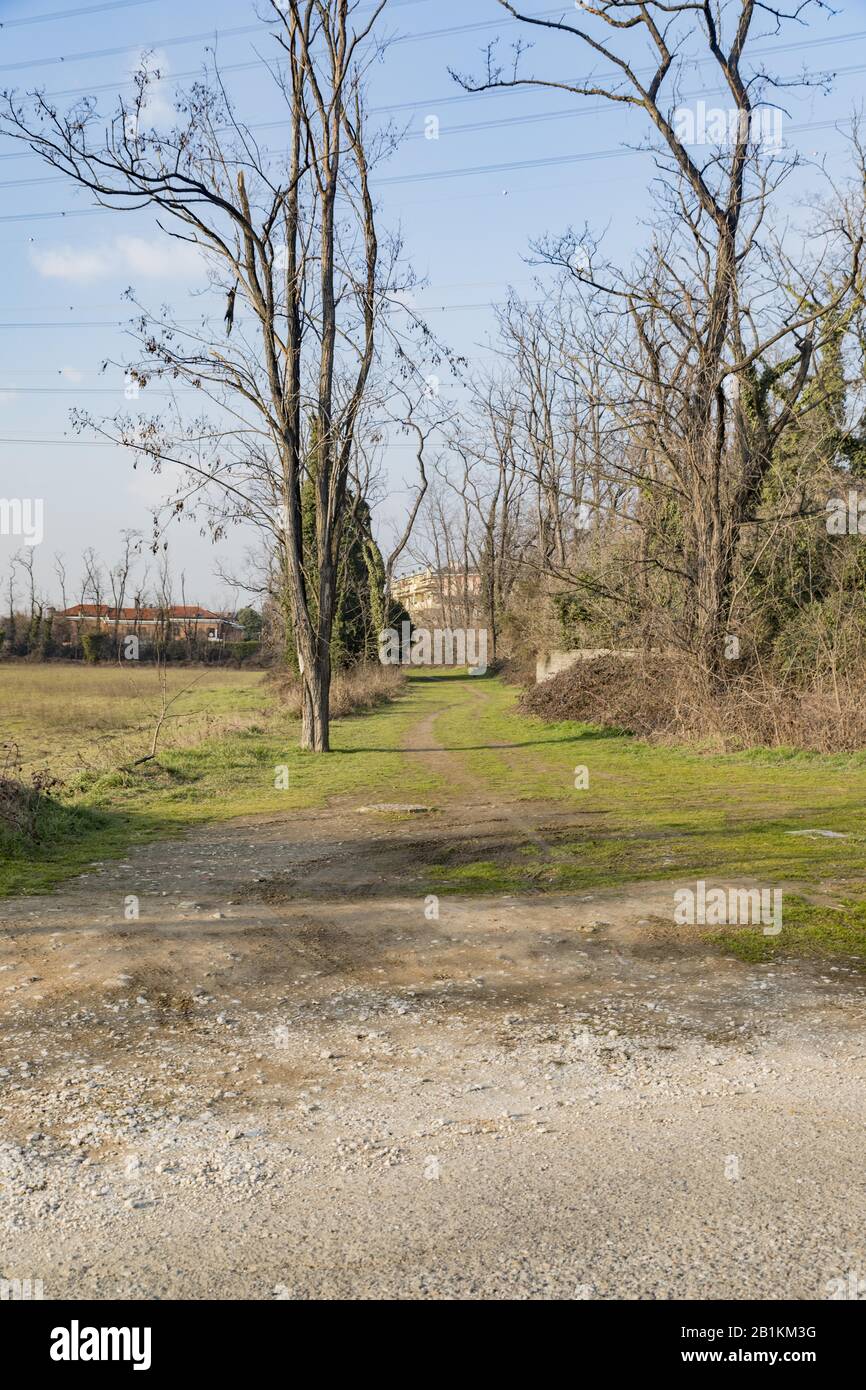 dirt path with trees on the sides Stock Photo - Alamy