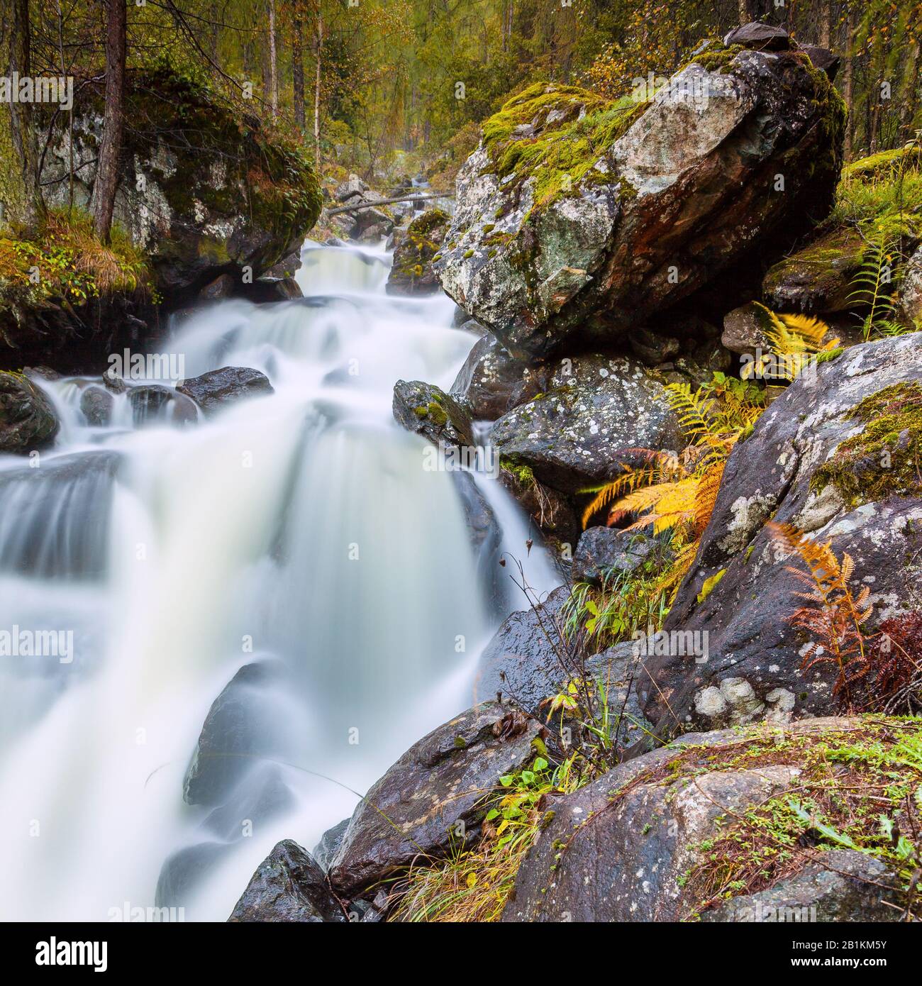 water falls in the alpine stream Stock Photo - Alamy