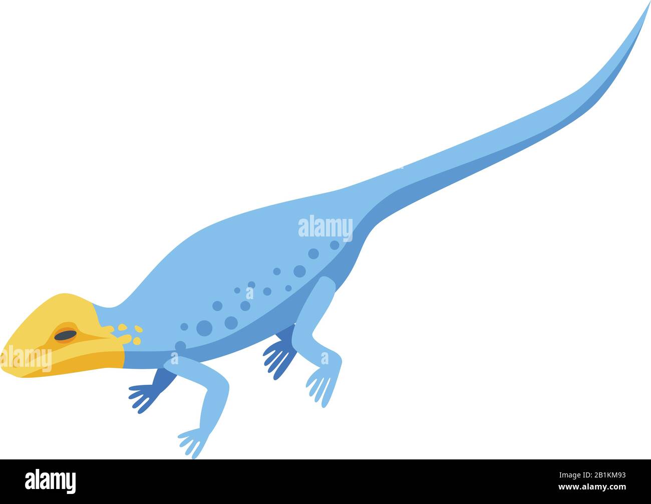 Yellow head lizard icon, isometric style Stock Vector Image & Art - Alamy