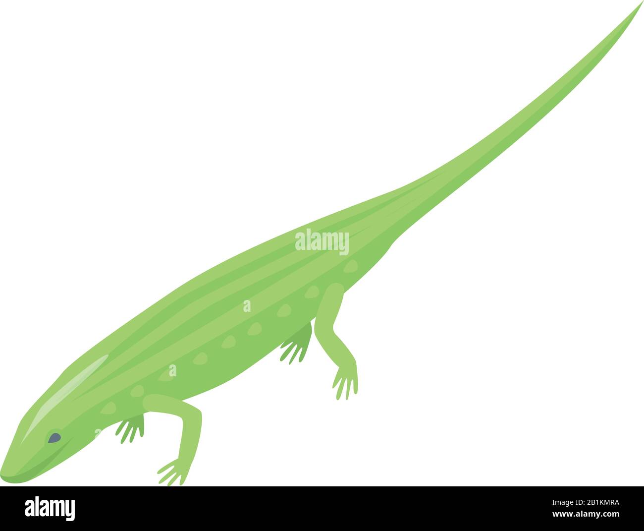 Green tree python pet Stock Vector Images - Alamy