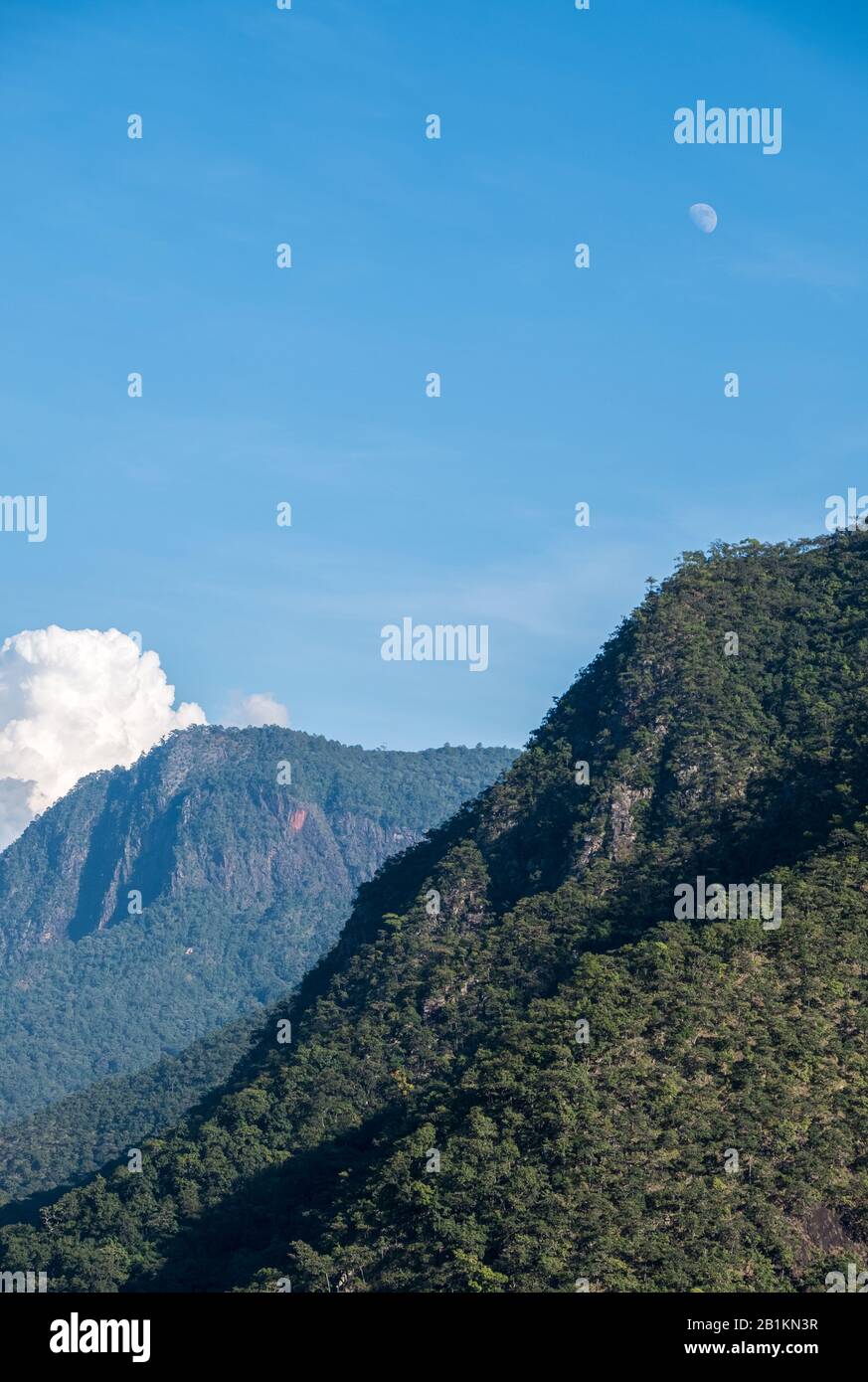 High mountain range with the rain forest in the national park, evening ...