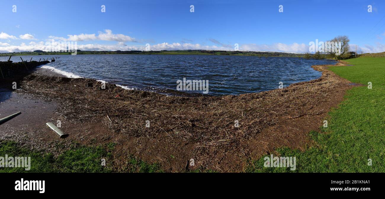 Ribble Floodplain High Resolution Stock Photography and Images - Alamy