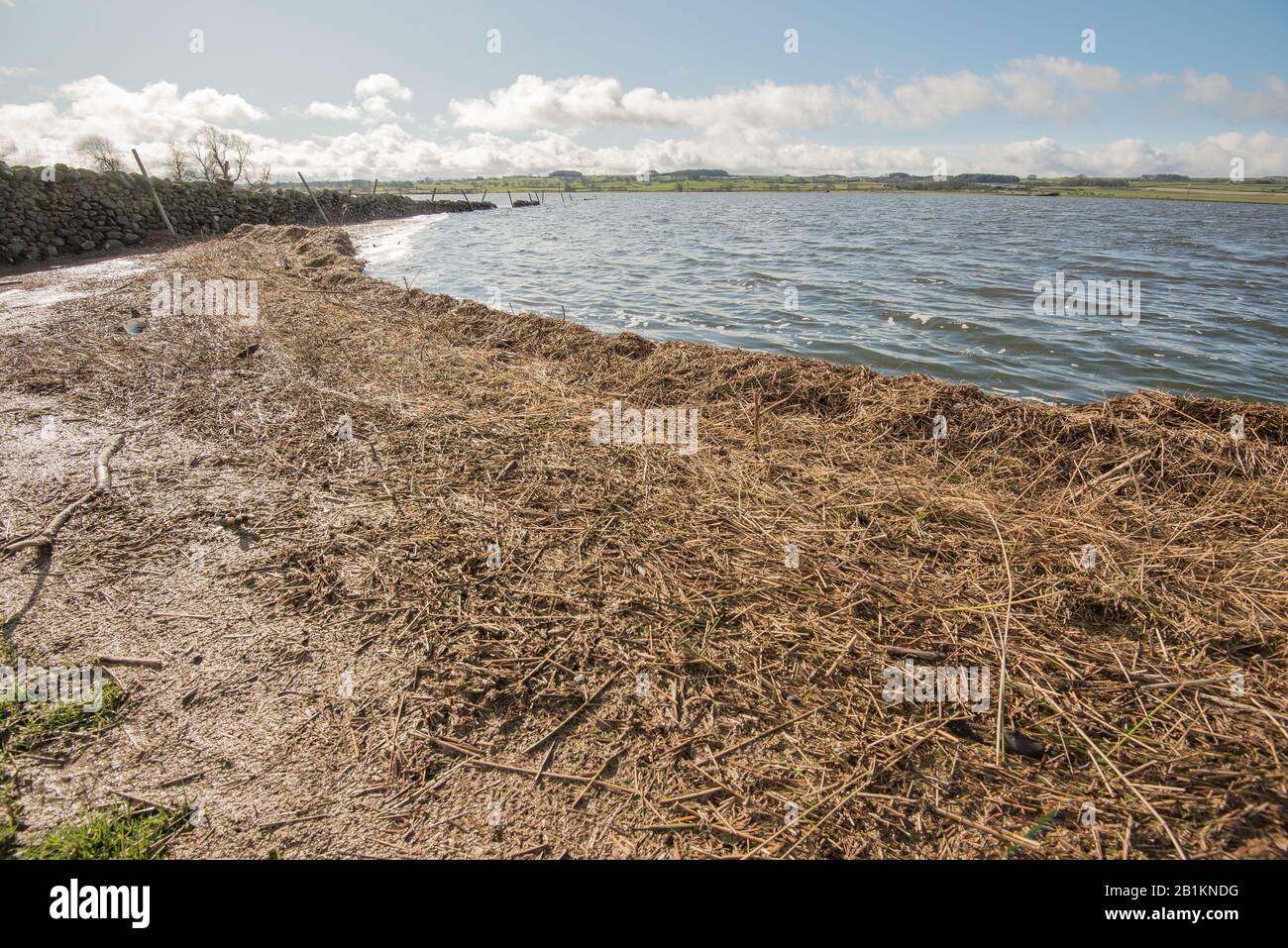 River Ribble floodplain Stock Photo - Alamy